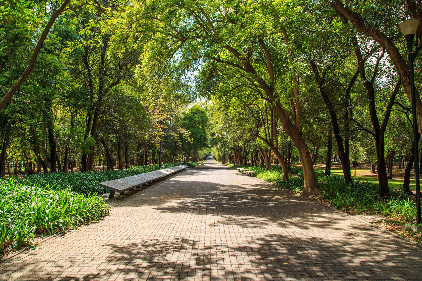 Calzada Del Rey Pro Bosque Chapultepec