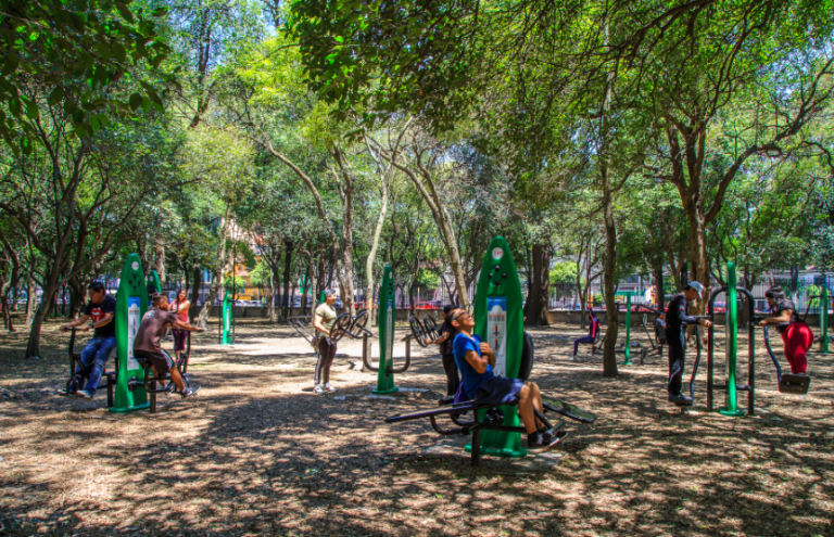 Los 8 mejores lugares para practicar deporte en el Bosque de ...