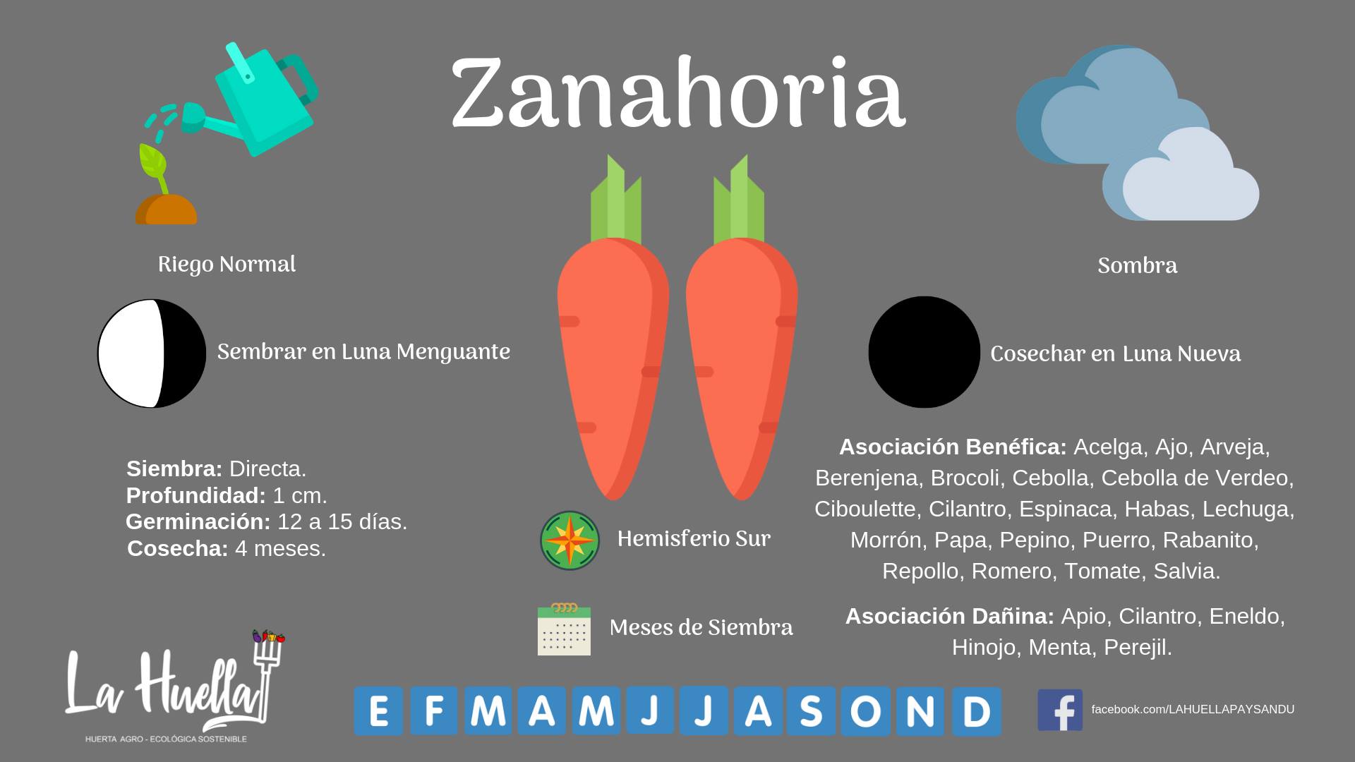 Guía para cultivar hortalizas en macetas y espacios reducidos – Pro ...