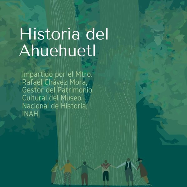 Webinar: Historia del Ahuehuetl – Pro Bosque Chapultepec
