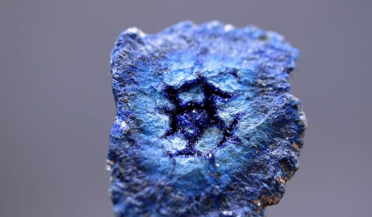 ¿Por qué el color azul es raro en la naturaleza? – Pro Bosque Chapultepec