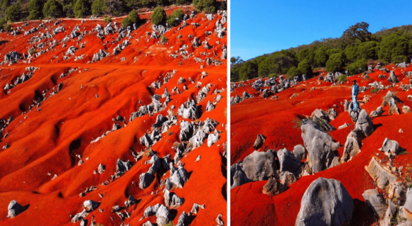 Las increíbles dunas rojas de Pacula – Pro Bosque Chapultepec