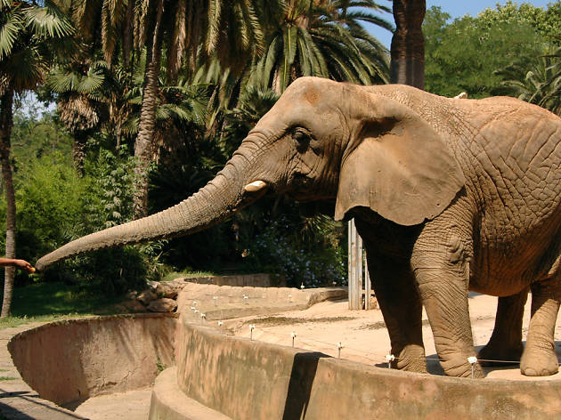 Zoológico “Alfonso Herrera" - Pro Bosque Chapultepec