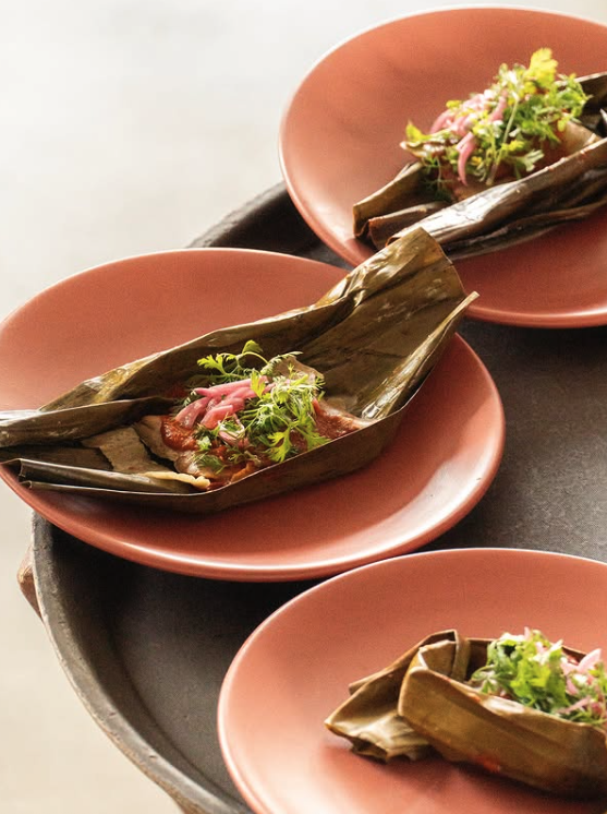 Lago Algo – Pro Bosque Chapultepec