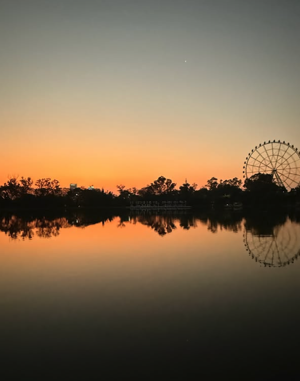 Lago Algo – Pro Bosque Chapultepec