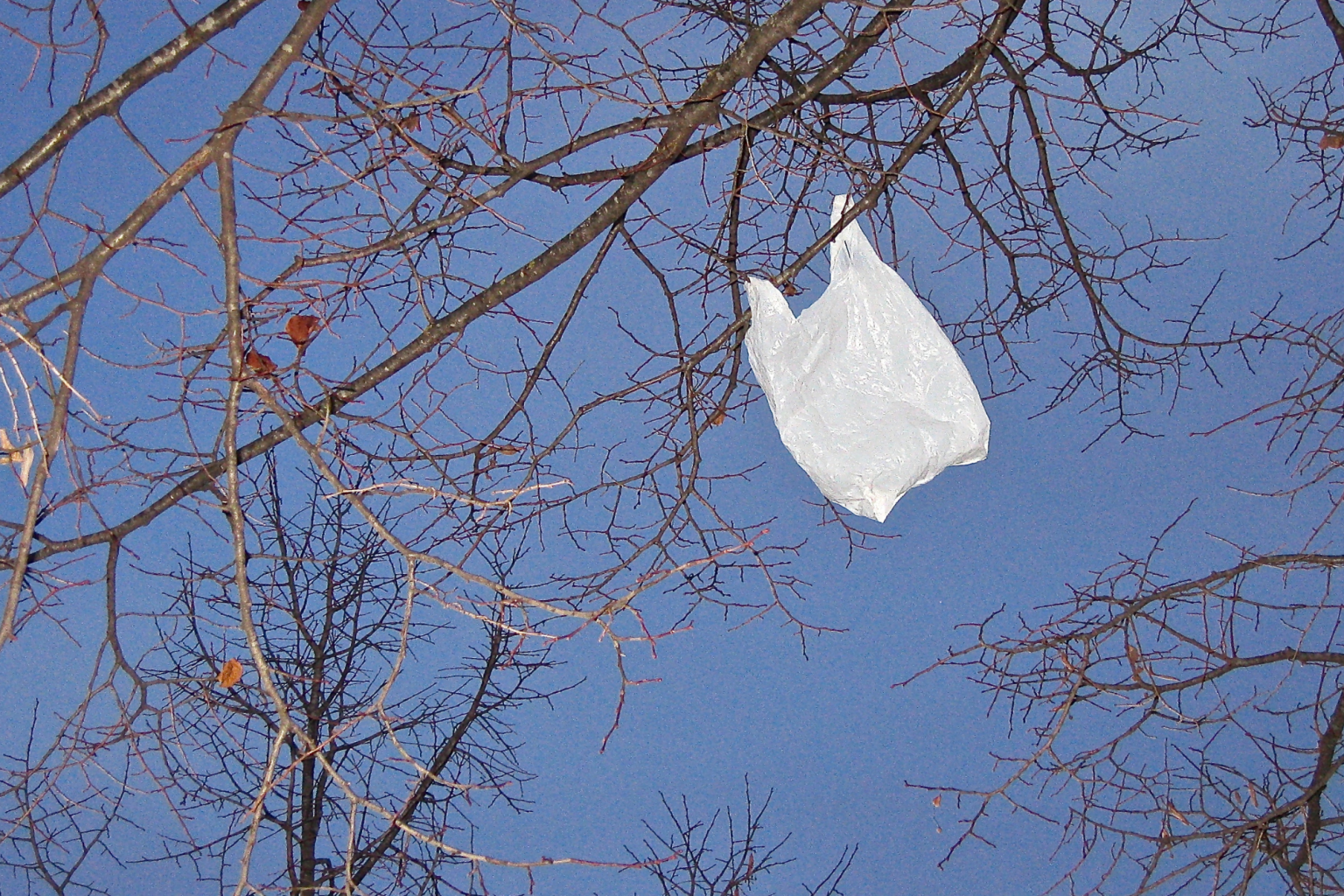 Museo Nacional de Historia (Castillo de Chapultepec) – Pro Bosque ...