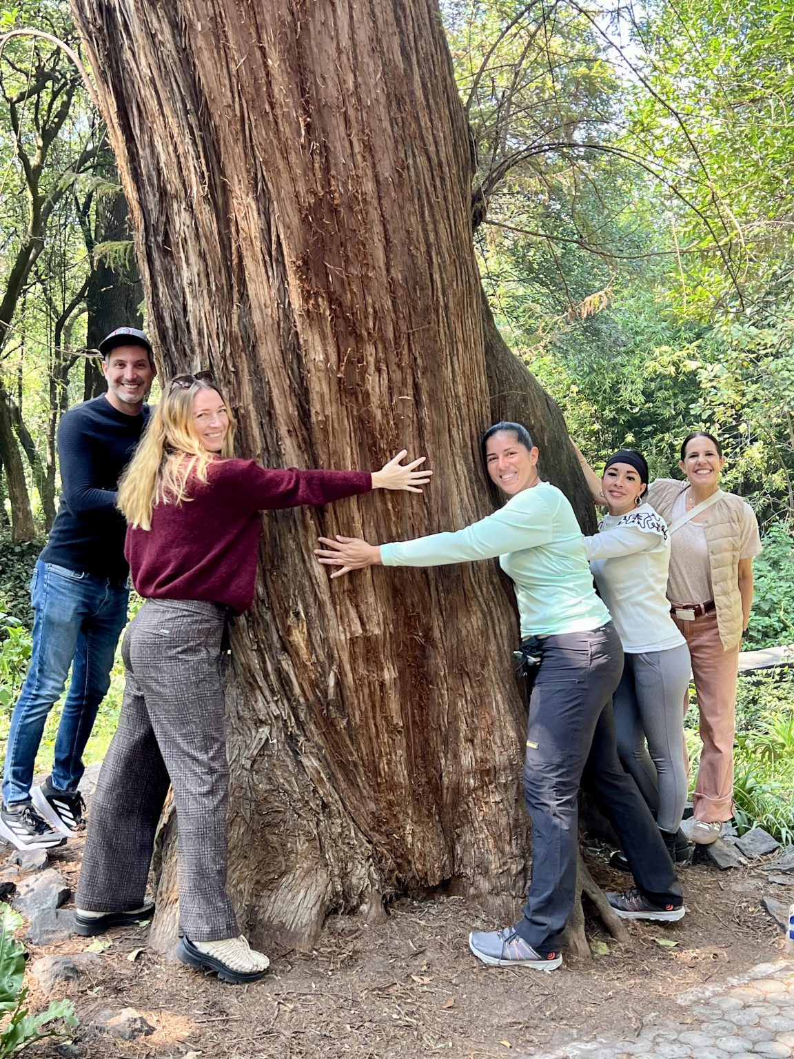Cineteca Nacional Chapultepec – Pro Bosque Chapultepec